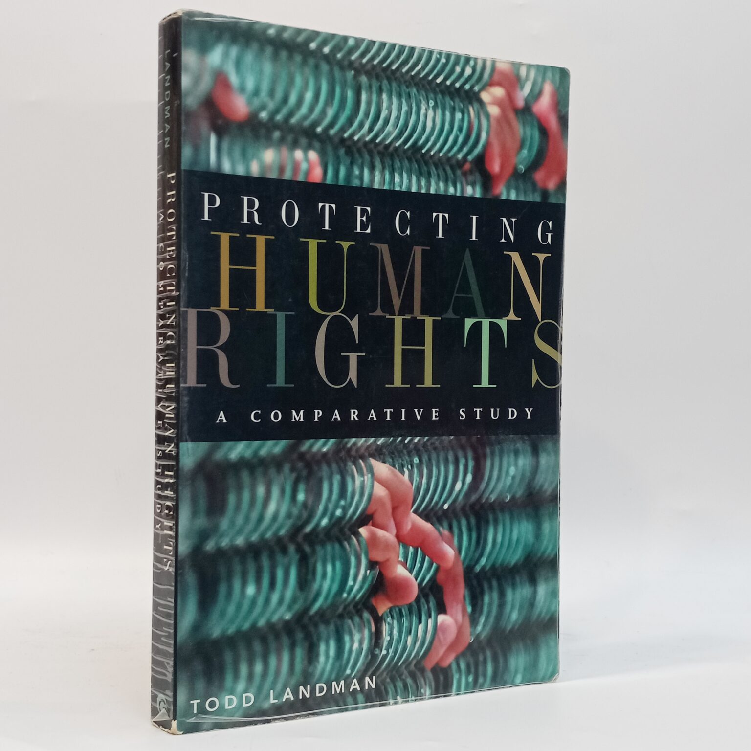 Protecting The Human Rights - Todd Landman (bìa mềm)